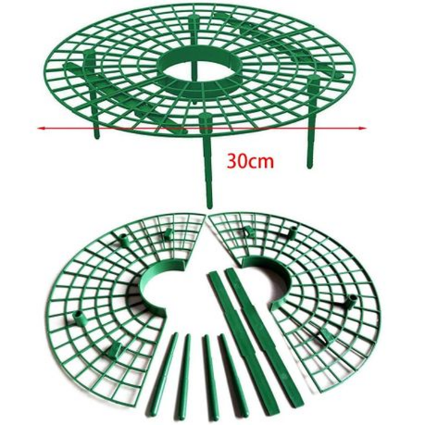 5 Pack Strawberry Growing Support Racks – shopadeal